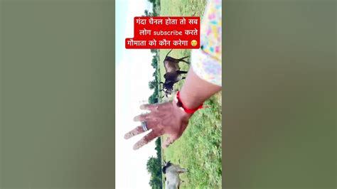 Shorts Shortvideos Viralvideos Gomata Youtube