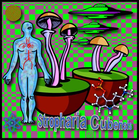 Stropharia Cubensis By Saru850 On Deviantart