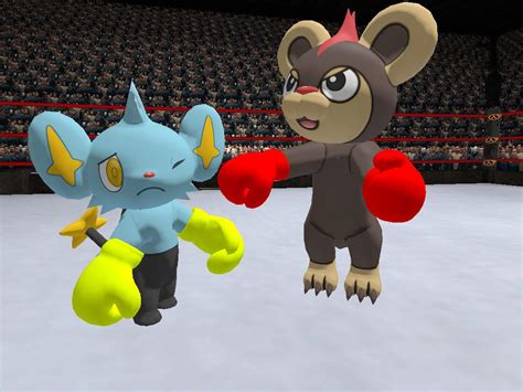 Shinx Vs Litleo 1 By Mrhoo1 On Deviantart
