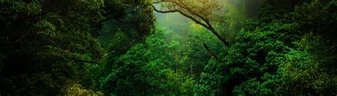 Esgスコアとはesgレーティングとその影響を理解する Ecovadis