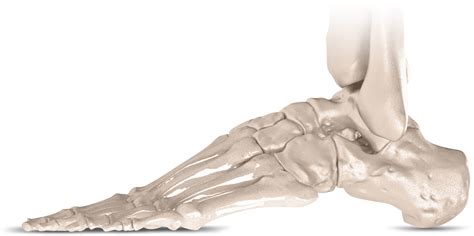 Foot Straight Truck Dimensions A Comprehensive Guide To Understanding And Optimizing Your Haul