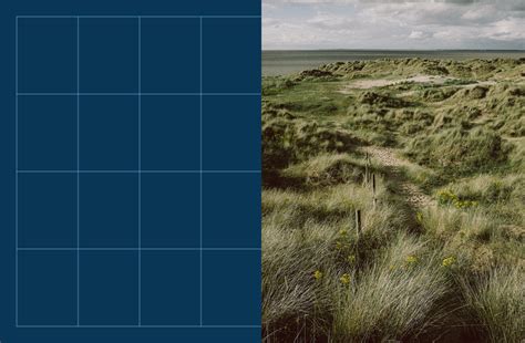 Substantive Testing Key Definitions Goals And Best Practices