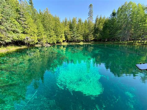 Behold The Natural Wonder Of Palms Book State Parks Stunning Spring In
