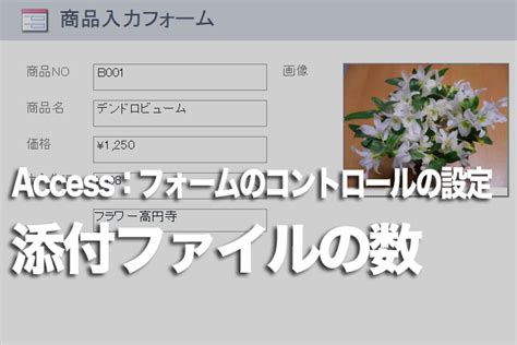 Accessのフォームの添付ファイル型フィールドのデータ数をひと目で知る方法 できるネット