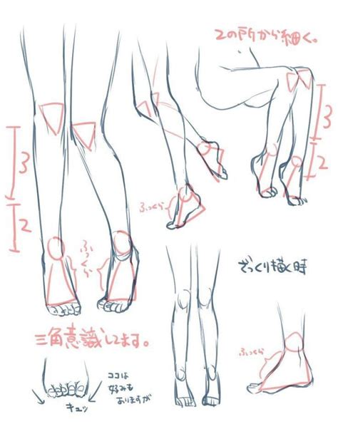 Character Anatomy Legs Artofit