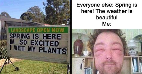 37 Funny Memes To Welcome Spring With All Its Joys And Flaws Bored Panda