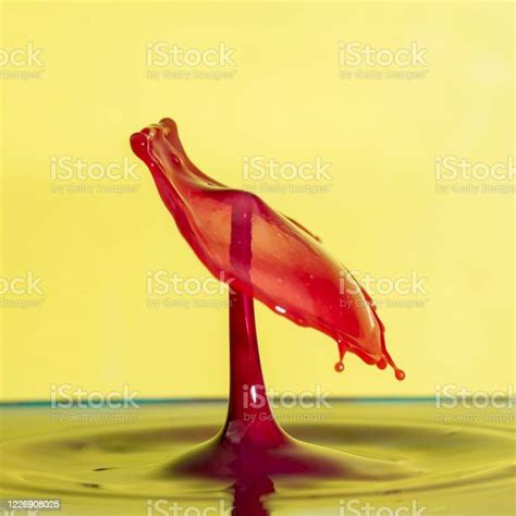 고속 플래시 기술을 사용하여 캡처 생생한 다채로운 물 충돌아름다운 추상 독특한 물 방울 스플래시 사진 이미지 0명에 대한 스톡