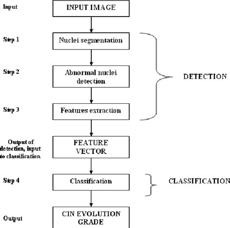 figure 1 from robust image segmentation method for cytological slides