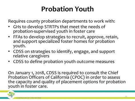 Background Legislative Mandate Senate Bill 1013 Chapter 35 Statutes