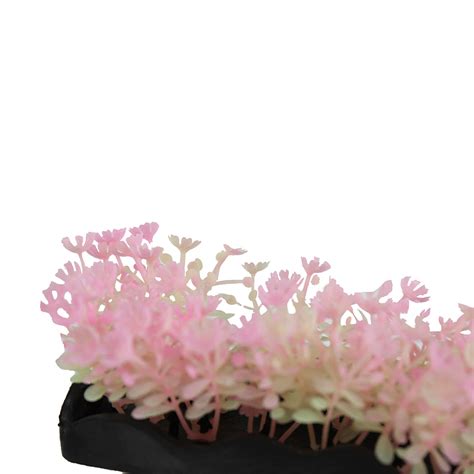 Penn Plax Eorder Tide And Treasure™ Glow Plants 5 Piece Pdq Pink