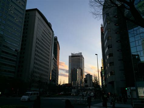 かぶ 【pr】seneo カメラレンズ3点セット 180度魚眼20xマクロ036x広角 レビュー。これは手軽で面白い。