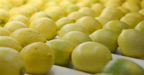 Aumento De Retenciones Las Economías Regionales Advierten Por El Impacto Que Tendría En El