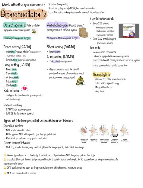 Bronchodilators For Asthma And Copd A Comprehensive Guide