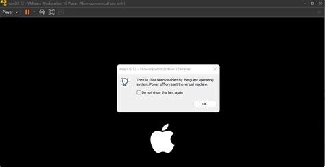 Macos Monterey On Ryzen Windows Vmware 16 By Lauri Elias Medium