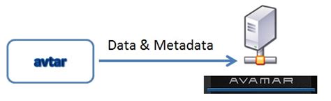 Avamar Client Backup Performance Behavior And Theory Dell India