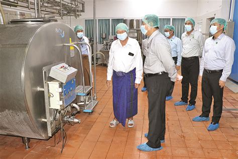 ရန်ကုန်တိုင်းဒေသကြီးအတွင်း နို့နှင့်နို့ထွက်ပစ္စည်း ထုတ်လုပ်ရေး လုပ်ငန