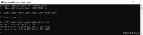 【小沐学前端】nodejs实现socket网络通信nodejs Socket Csdn博客
