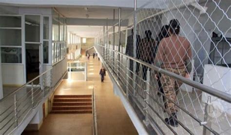 78 хоригдлыг хугацаанаас нь өмнө суллажээ