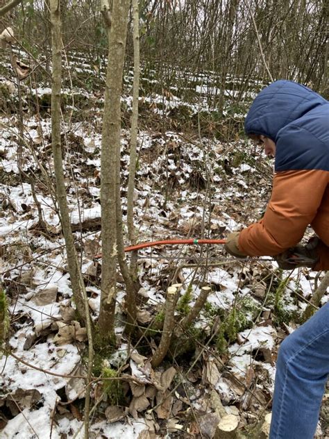 Groupe Jacques Sevin Chaumont Scouts Et Guides De France
