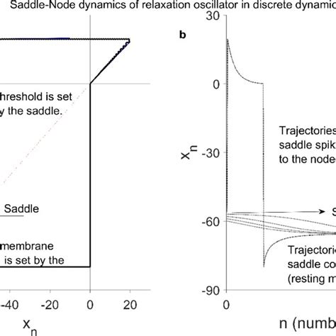Resting Dynamics In The Discrete Relaxation Oscillator Model The Download Scientific Diagram