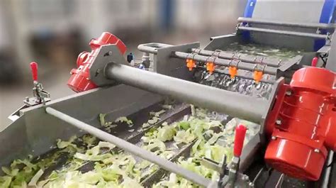 Salad Leafy Vegetable Vortex Washing Processing Line Vegetable