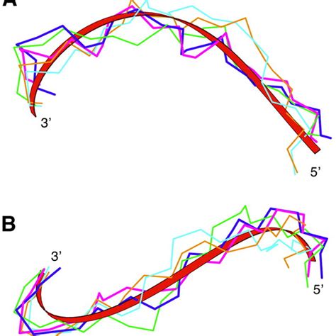 Published Hairpin Nmr Solution Structures With Ttt Loop Download Table
