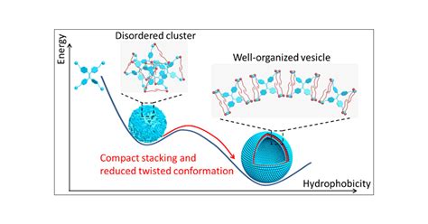 Insights Into Self Assembly Of Nonplanar Molecules With Aggregation