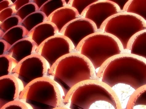 Cell Burn By Momentsofbliss On Deviantart