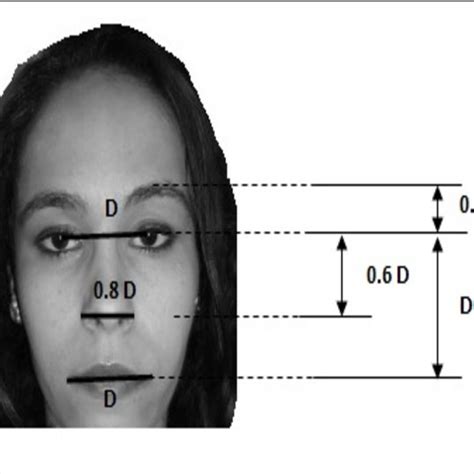 2d Geometric Face Model Download Scientific Diagram