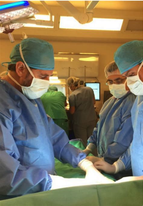 Global Stem Cells Group Plans A Stem Cell Training Course In Barcelona