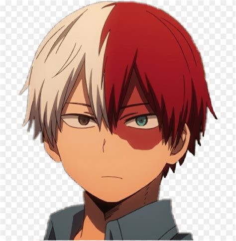 Todoroki Coloring Pages Face Tori Wallpaper