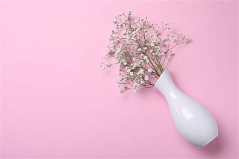 분홍색 배경에 흰색 꽃병에 아름다운 석고 필라 상단보기 텍스트를 위한 공간 0명에 대한 스톡 사진 및 기타 이미지 0명