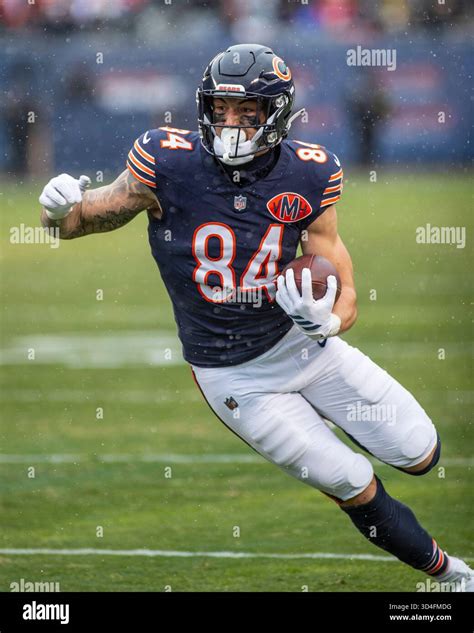 November 9 2025 Chicago Bears Colston Loveland 84 In Action During