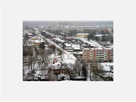 Первое знакомство (5 фото - Наволоки, Россия) - ФотоТерра