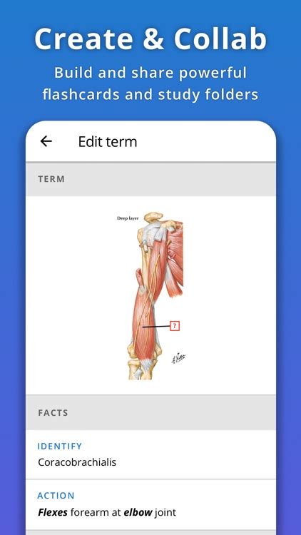 Memorang Flashcards And Quizzes By Memorang