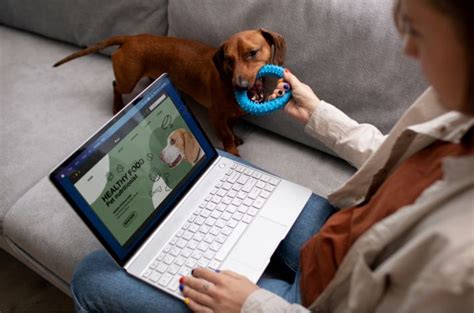 Blog Como Criar Um E Commerce Para Seu Pet Shop Sispet