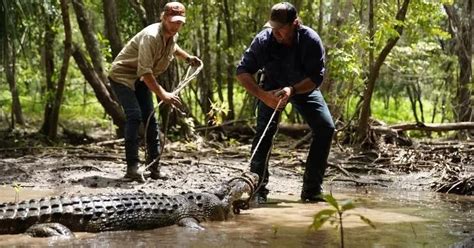 Man Dubbed Crocodile Dundee Recalls Moment 20ft Monster Attacked