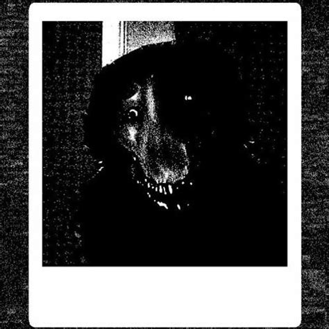 Listen To Fnf Step Right Up Adventure Isle Ost Minds Eye Squared The Royal Tony And Smile