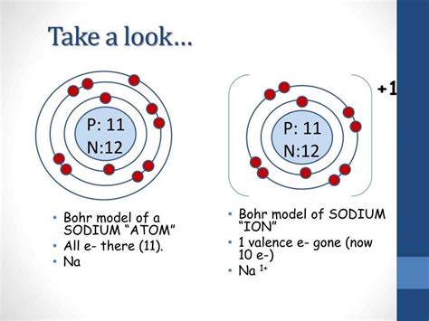 The Bohr Diagram Of Calcium Ion Revealed A Visual Insight Into Its Electronic Structure