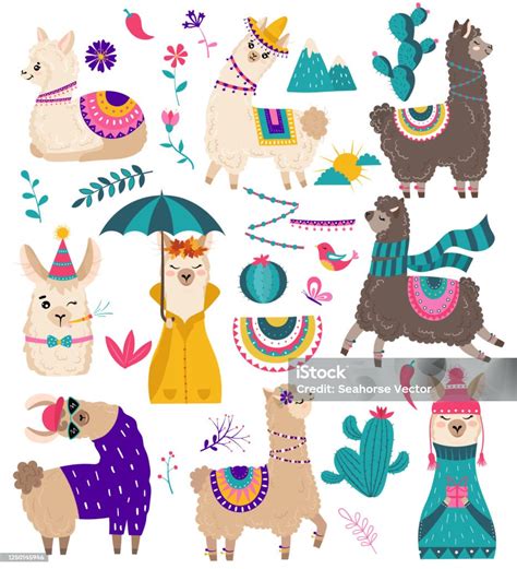 귀여운 라마 재미있는 알파카 만화 캐릭터 벡터 일러스트 알파카에 대한 스톡 벡터 아트 및 기타 이미지 알파카 라마 개체 그룹 Istock
