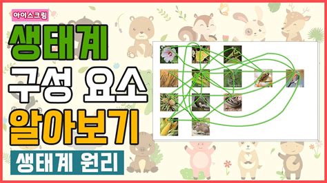 과학실험 크림생태계 구성 요소 알아보기생태계 원리 Youtube