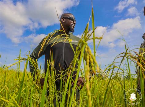Agriculture Le Budget Est Passé De 600 Milliards à 1 900 Milliards