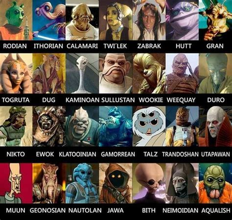 Species In The Star Wars Universe