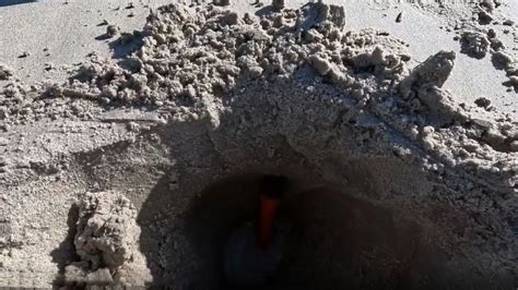 Найти всё что под песком программа для поиска на пляже с Ws6 Master