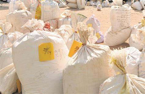 10 Kg Poppy Husk Seized The Tribune