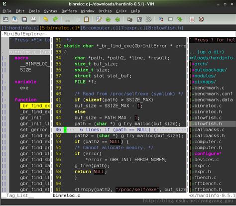所需即所获：ide Plugins Vimtagbar 插件 排序 Csdn博客
