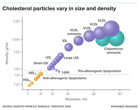 All About Cholesterol