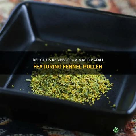 Delicious Recipes From Mario Batali Featuring Fennel Pollen Shuncy