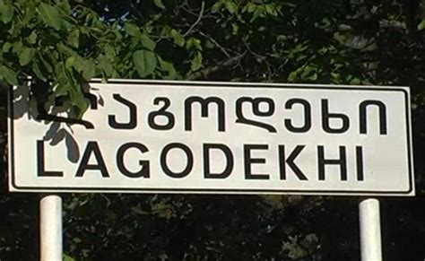 ვინ უნდა მართოს ლაგოდეხი