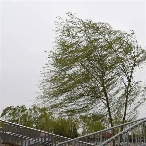 今明两天阵风六七级，注意出行安全和用火安全北京市气象台北风经开区